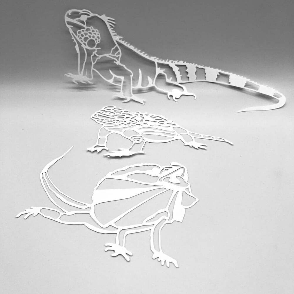 Lounging Lizards Sets | Mixed Media - PM Artist Studio