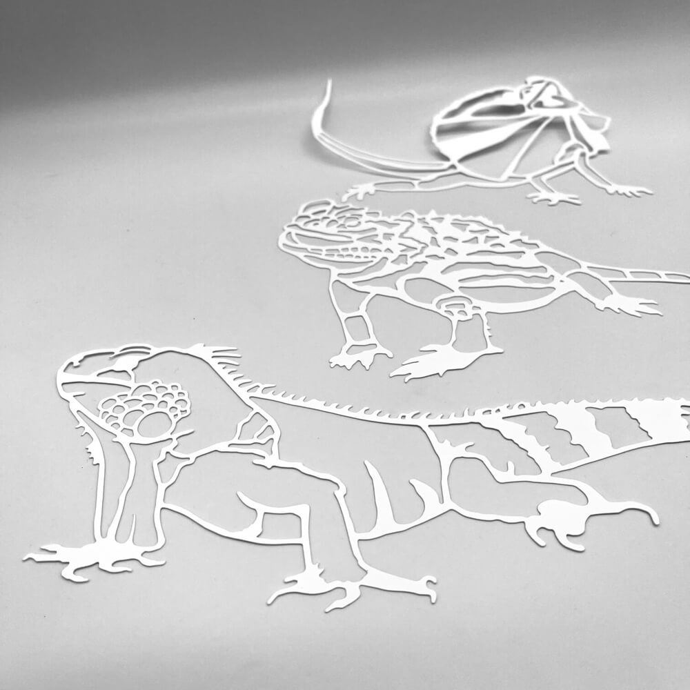 Lounging Lizards Sets | Mixed Media - PM Artist Studio