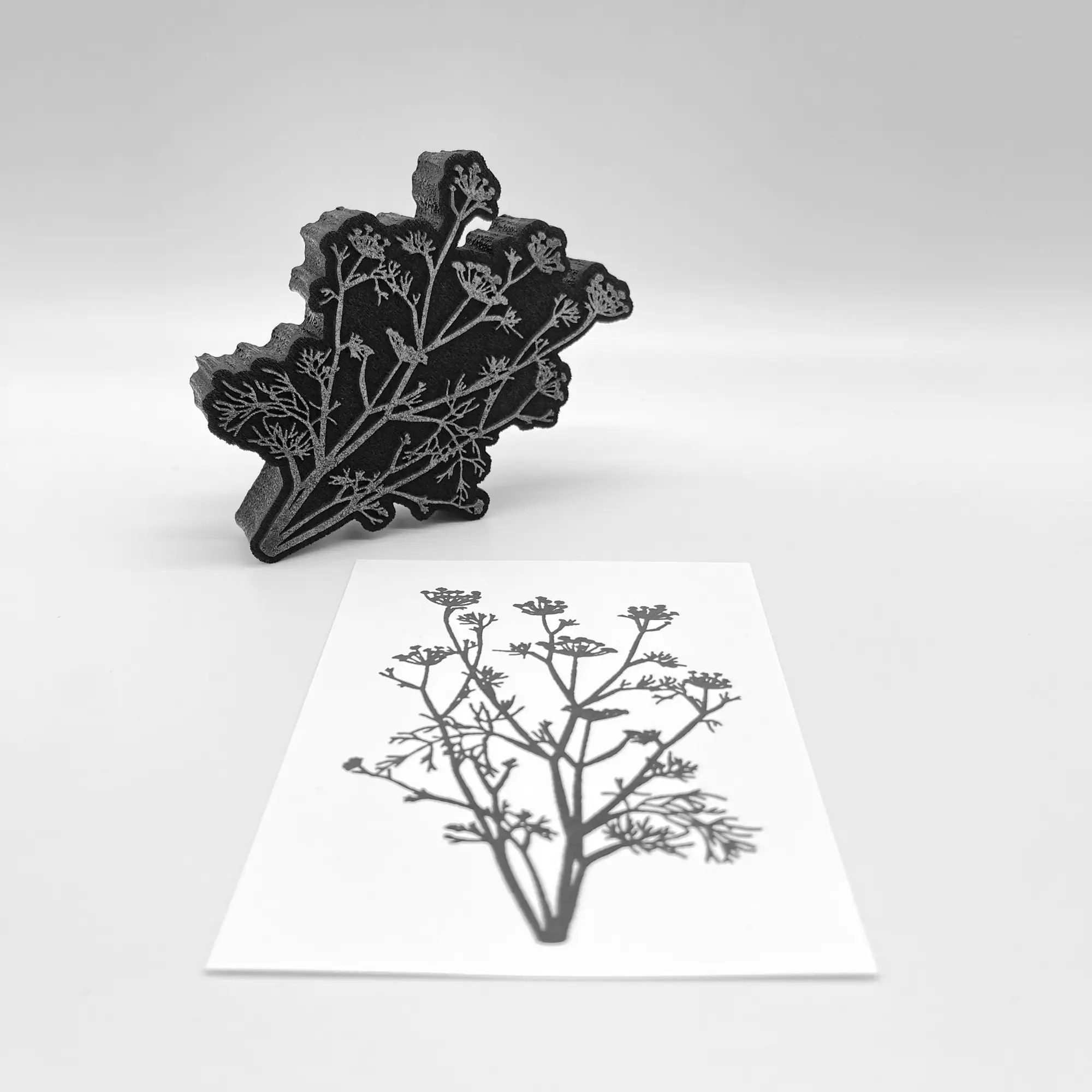 Wild Fennel | Artists’ Tools | Foam Stamp - PM Artist Studio